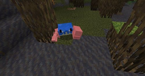 Mangrove Crab Concept Add-on 1.20+ | Minecraft PE Mods Addons