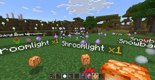 The Floating Item Names Add-on 1.20+ | Minecraft PE Mods Addons