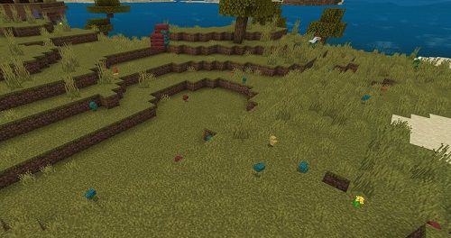 Lag Clear Add-on 1.20+ | Minecraft PE Mods Addons