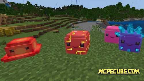 Slime Rancher Add-on 1.20+ | Minecraft PE Mods and Addons