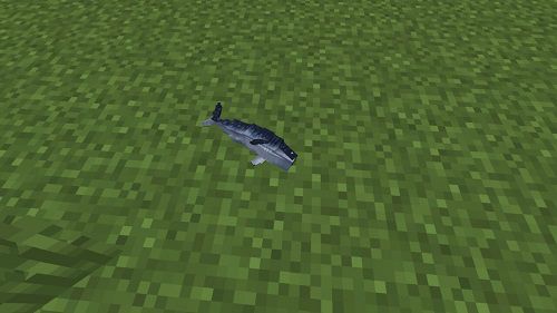 Download Underwater Animals Mod for Minecraft PE