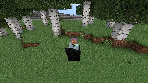 Download Invisible Blocks Mod for Minecraft PE
